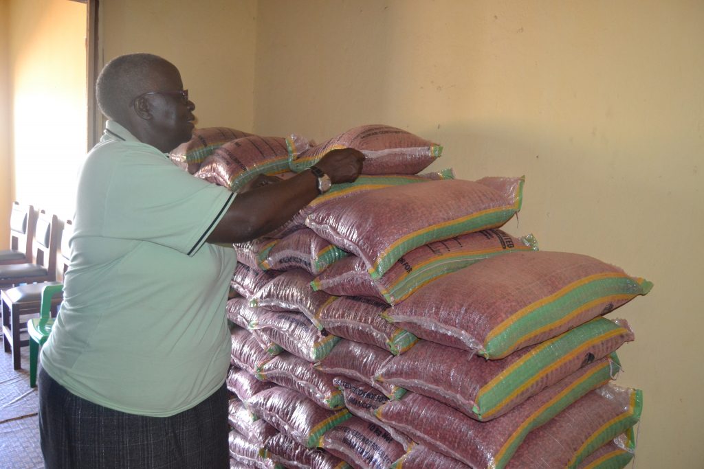 Will NAADS seedlings avert food insecurity for Atiak Sugarcane Growers ...