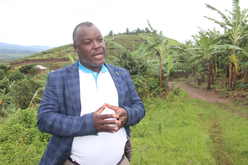 Mbarara grape farmers call for agronomists as pests and diseases ravage ...
