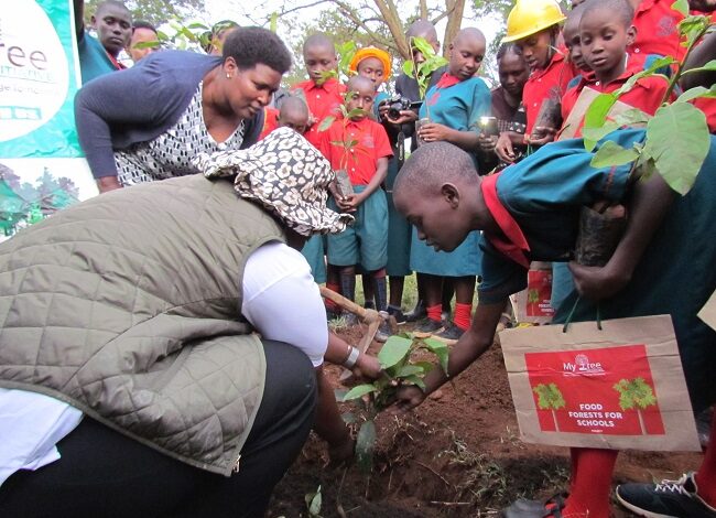 Fruit tree planting initiative launched in Sembabule district - The ...